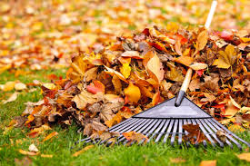 Autumn Safety - City of Lawrence, Kansas